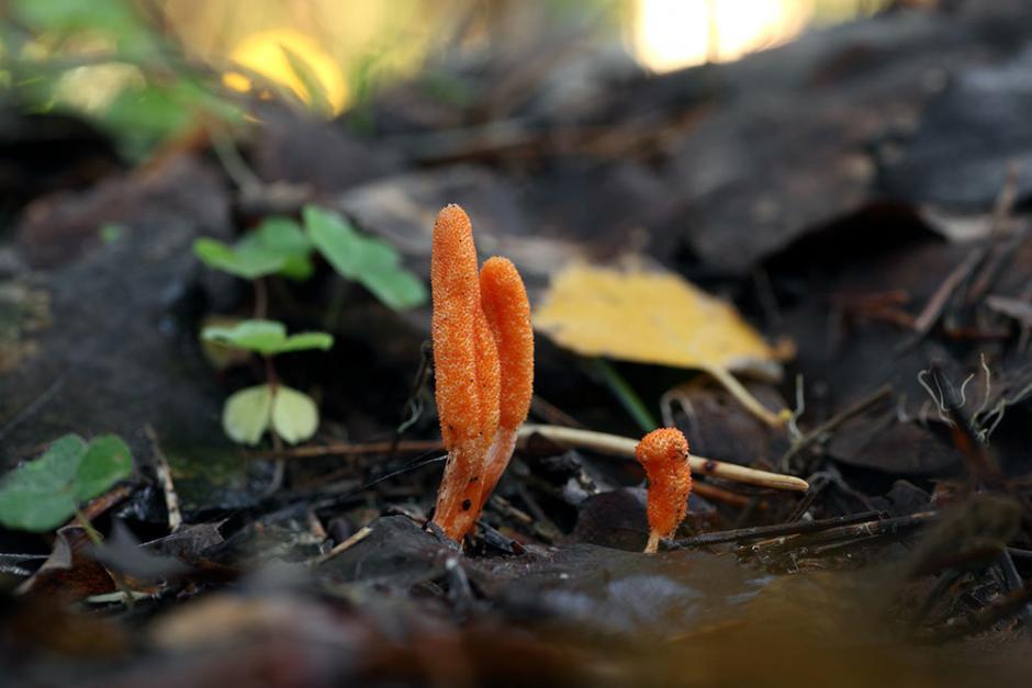 Photos: Estonian nature and wildlife