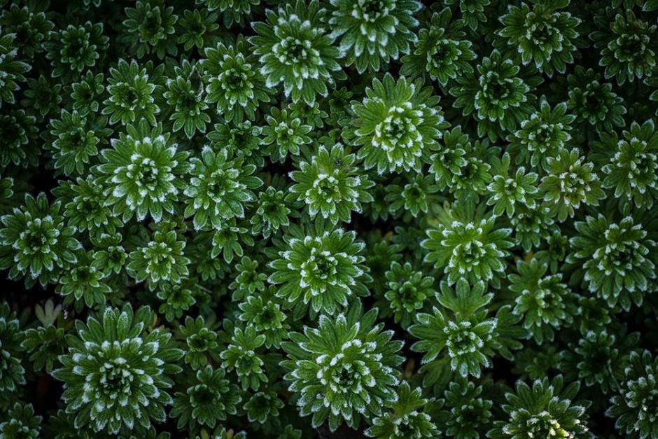 Photos: Estonian nature and wildlife