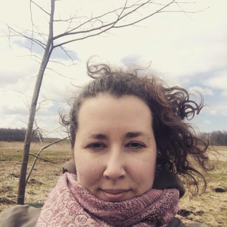 The war on Estonian forests